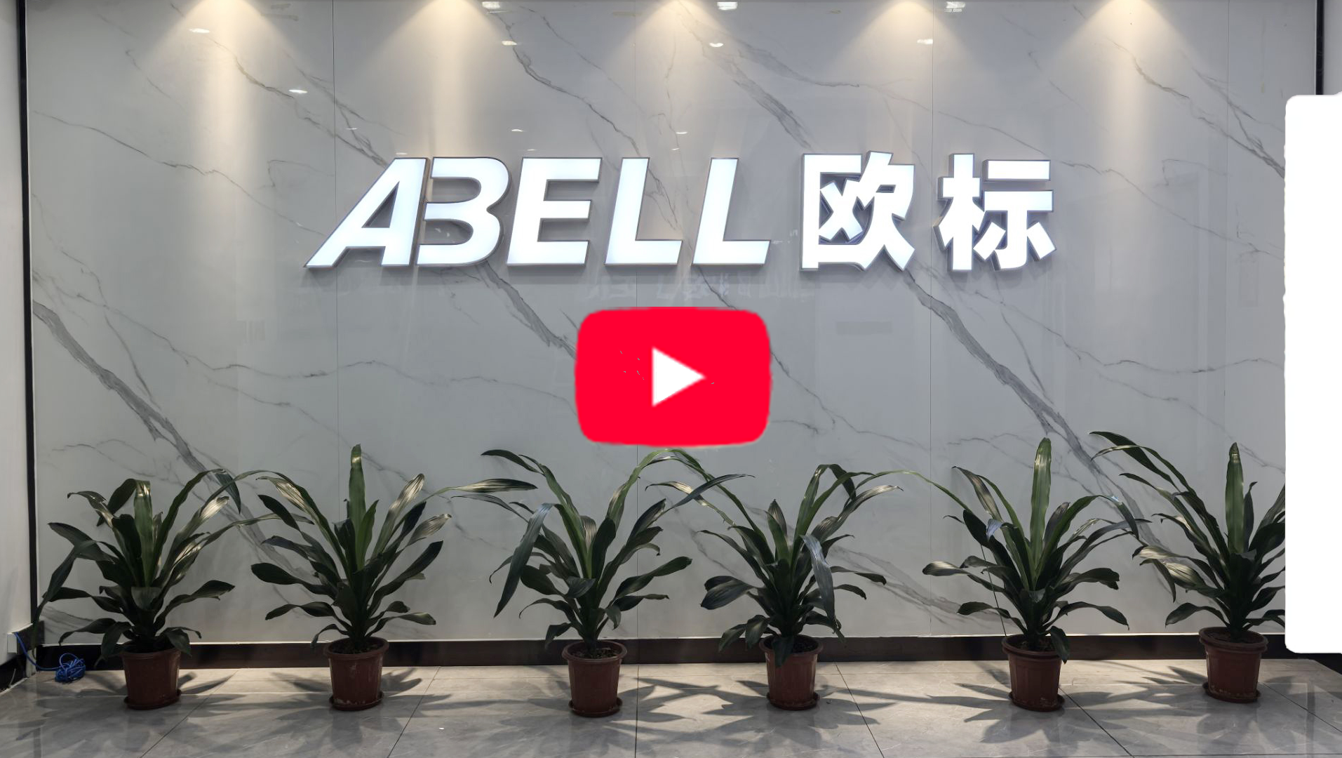ABELL-DMR Solution Specialist